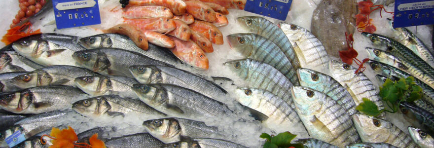 Optimiser sa poissonnerie moderne : tendances et accessoires efficaces